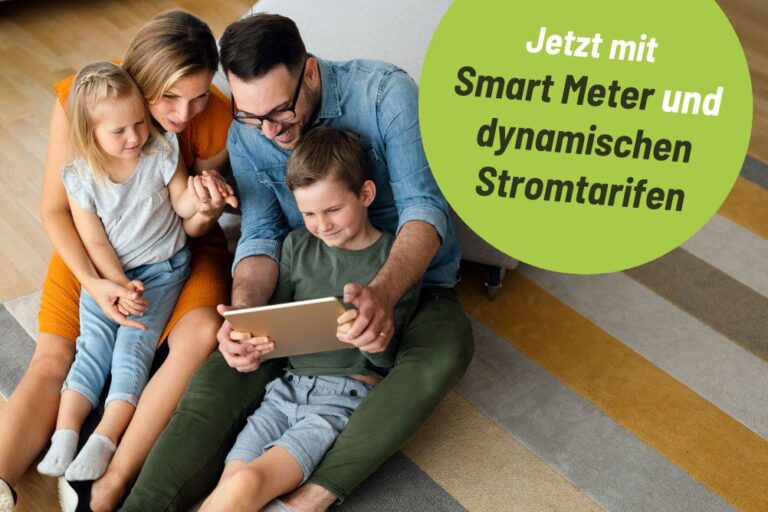 Wegahome – Der intelligente Energiemanager von Wegatech